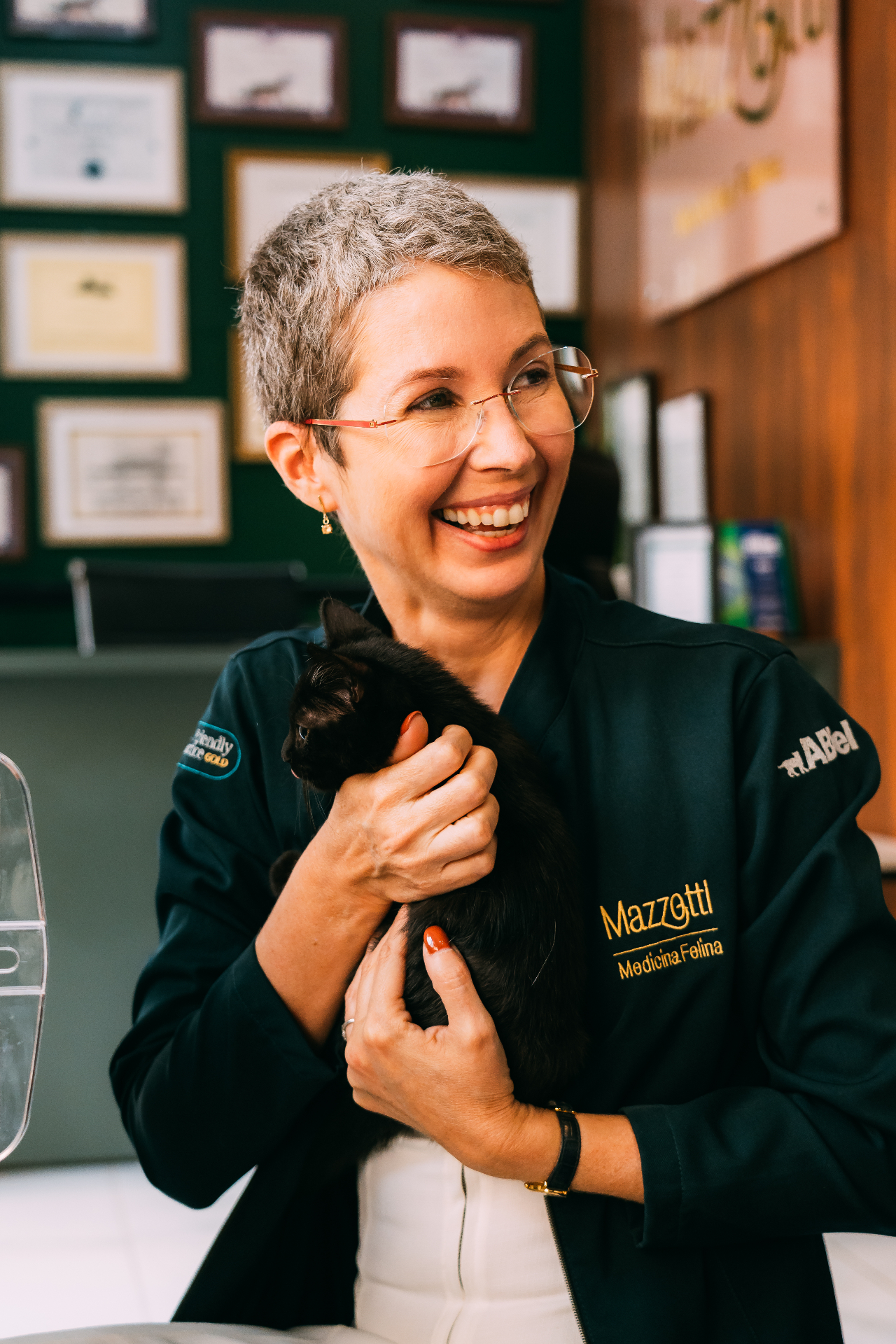 Medicina Felina Exclusiva em Brasília | Clínica Mazzotti